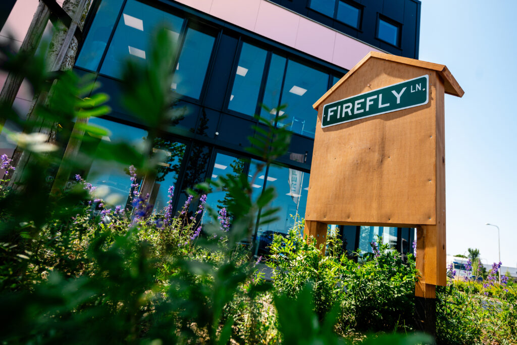 Core values - Firefly